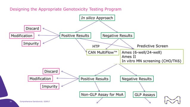 The Comprehensive Guide to Genotoxicity Assessment | PDF | Genetics ...