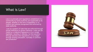 The concept and features of law | PPTX