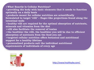 The Concept of Cellular Nutrition | PPTX