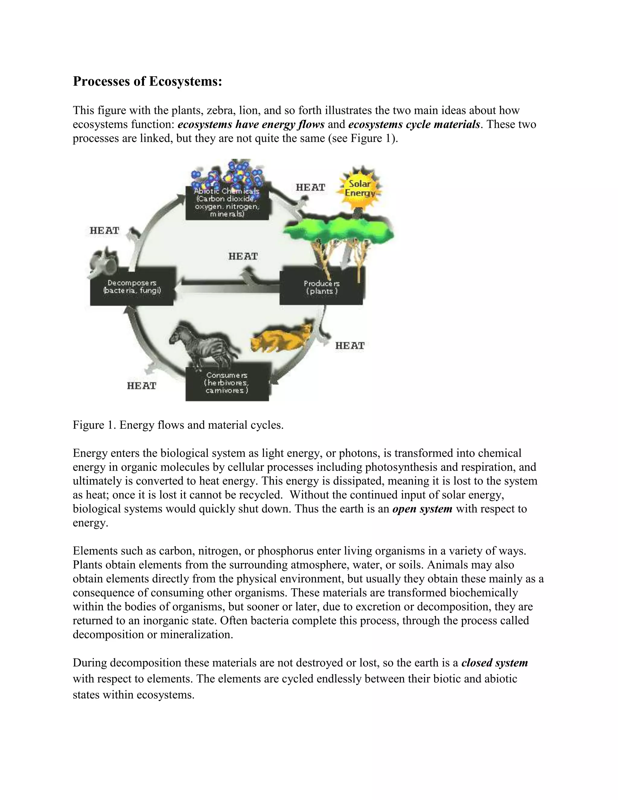 The concept of ecosystem | DOC