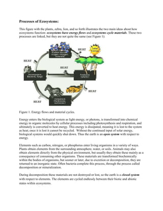 The concept of ecosystem | DOC