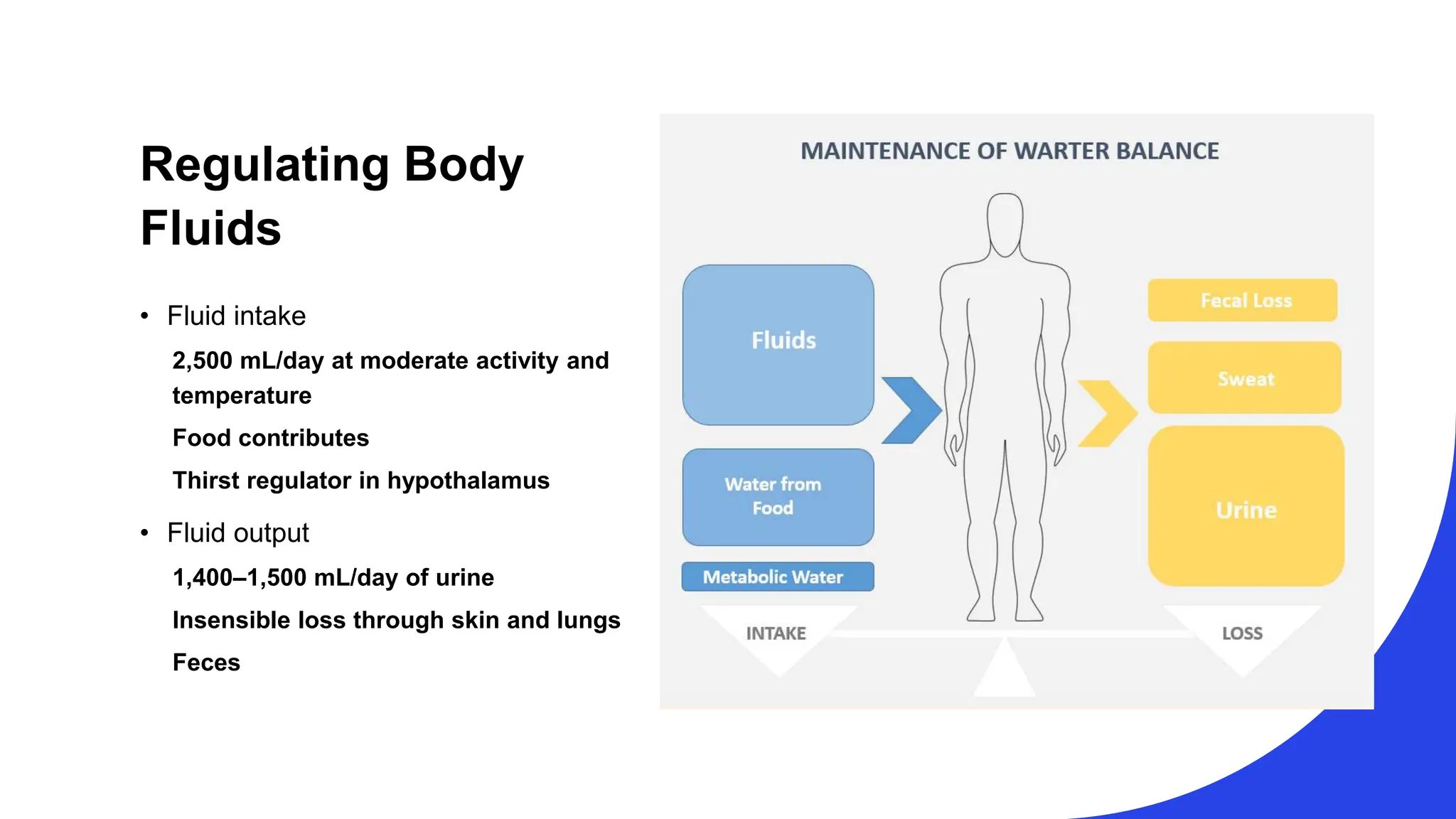 The Concept of Fluids and Electrolytes.pptx