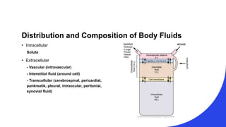 The Concept of Fluids and Electrolytes.pptx