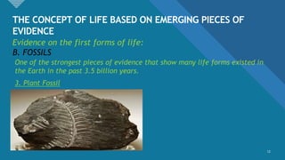 THE CONCEPT OF LIFE BASED ON.pptx