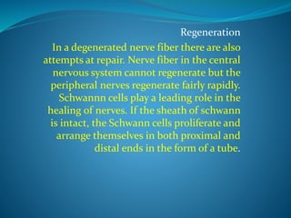 The concept of peripheral nerve repair | PPTX