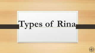The Concept of Rina | Anthropology Optional | PPTX