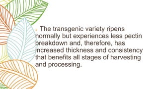 The Concepts and Development of BT Crops.pptx