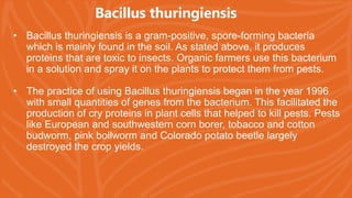 The Concepts and Development of BT Crops.pptx