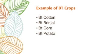 The Concepts and Development of BT Crops.pptx
