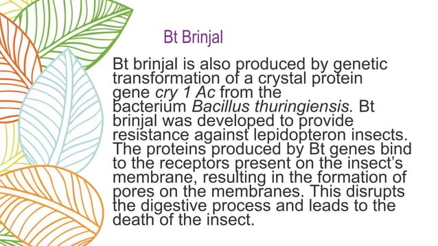 The Concepts and Development of BT Crops.pptx