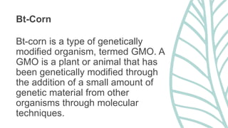 The Concepts and Development of BT Crops.pptx