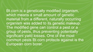 The Concepts and Development of BT Crops.pptx