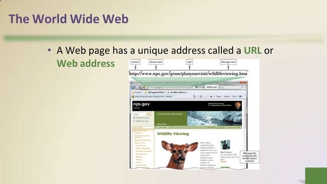 The Concepts of Internet and Networking.pptx | Browsers | Computer Software and Applications