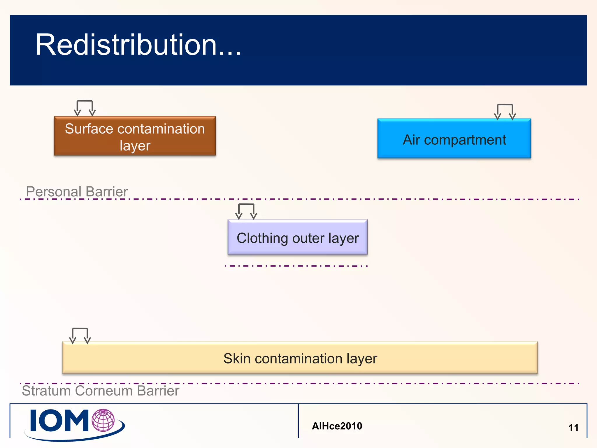 The conceptual model of dermal exposure | PPT | Skin and Dermatology ...