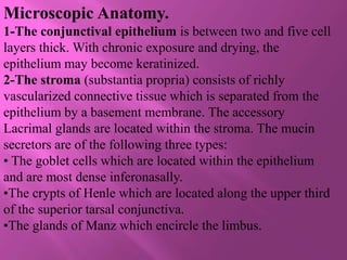 opthalmolgy.The conjunctiva lecture 1.(dr.ali) | PPTX