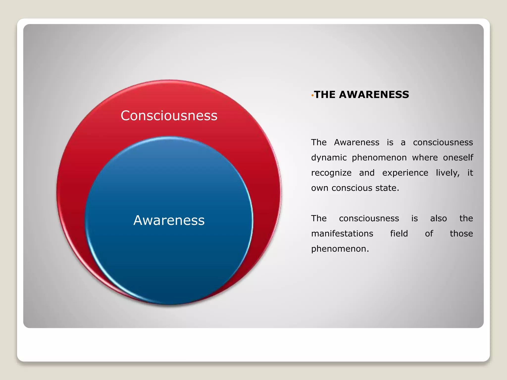 The consciousness circuit 2012 | PPT