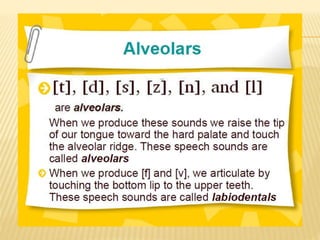 The consonant sounds | PPT