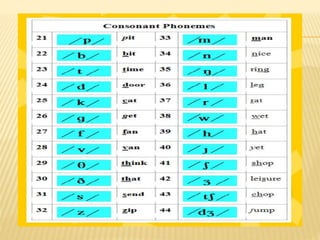 The consonant sounds | PPTX