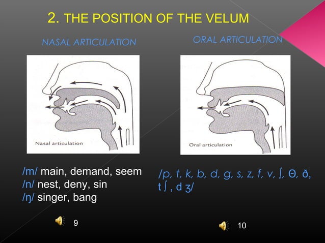 The consonant system | PPT