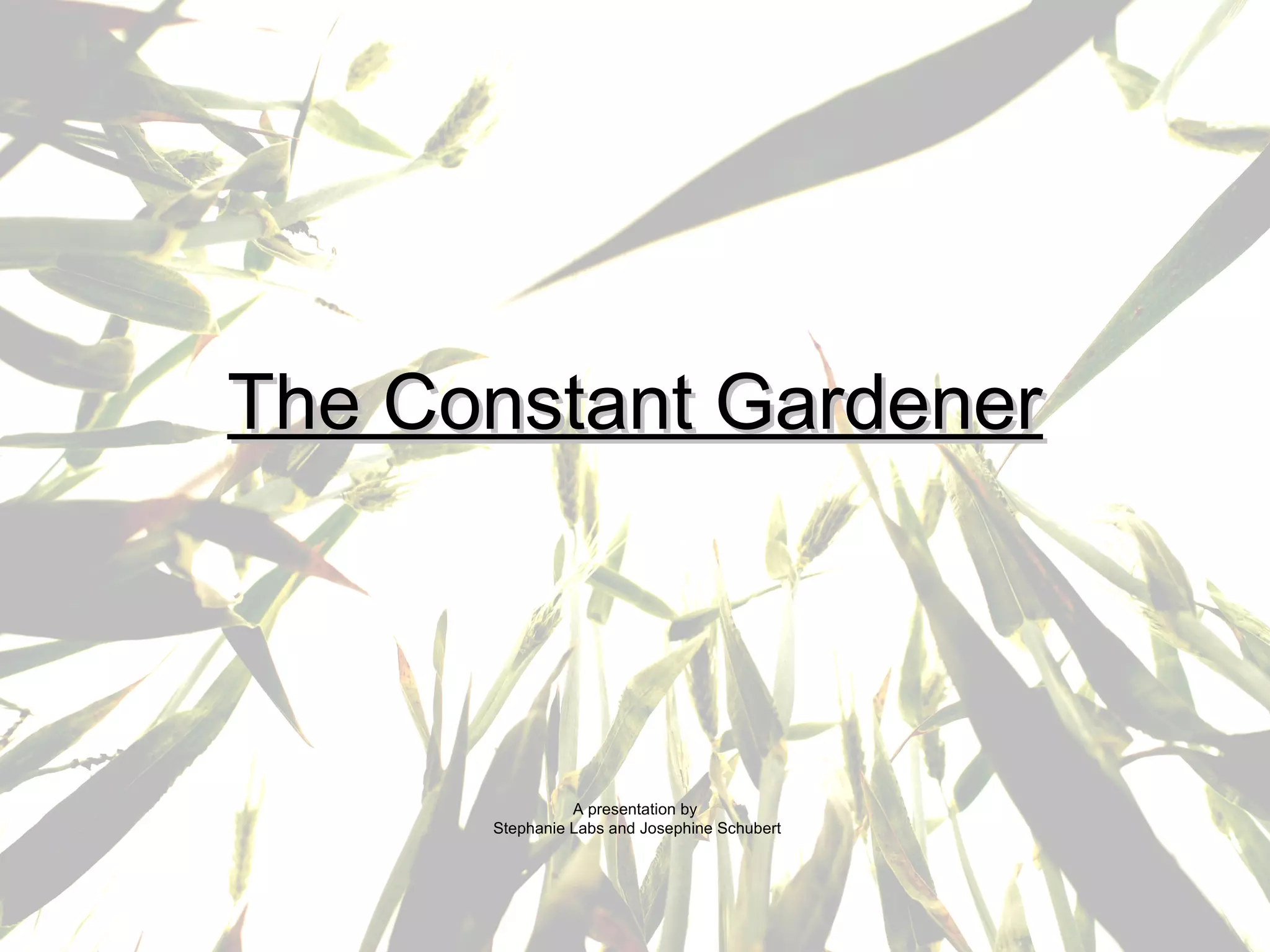 The constant gardener | PPT