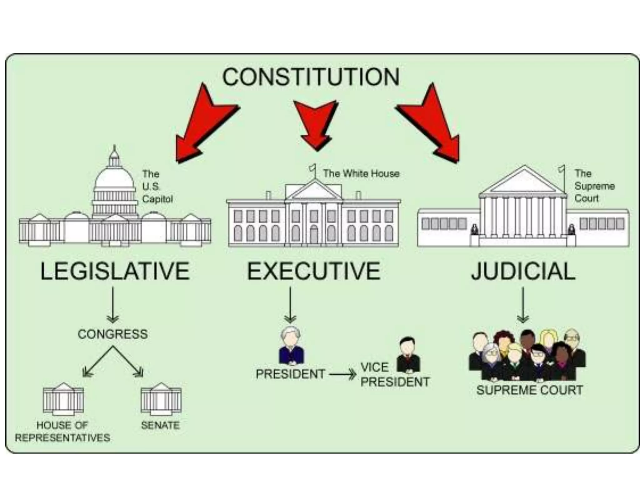 The constitution | PPT