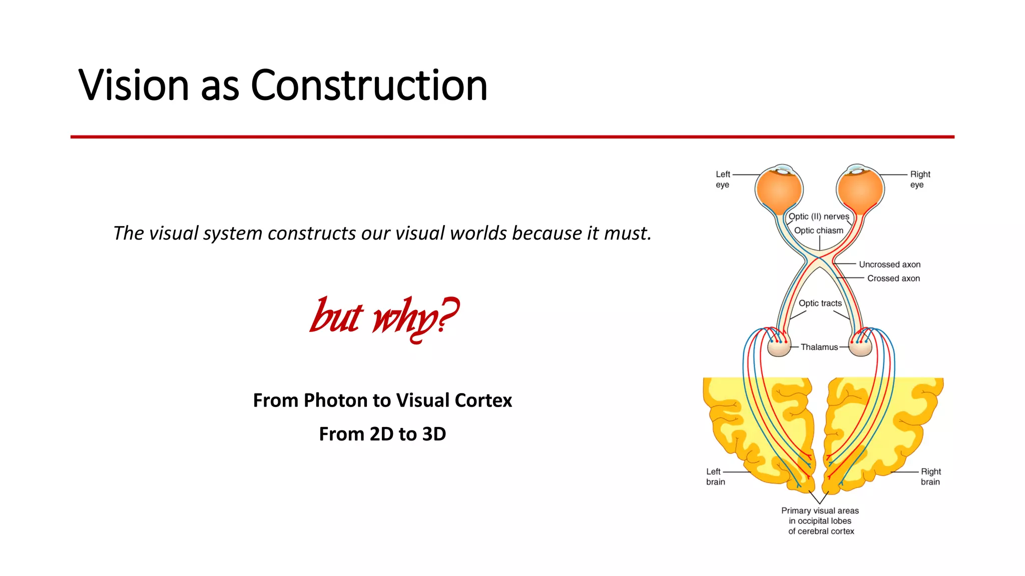 The construction of visual reality | PPT