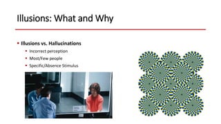 The construction of visual reality | PPT