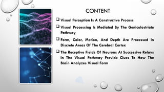 Constructive Nature of Visual Processing | PPT