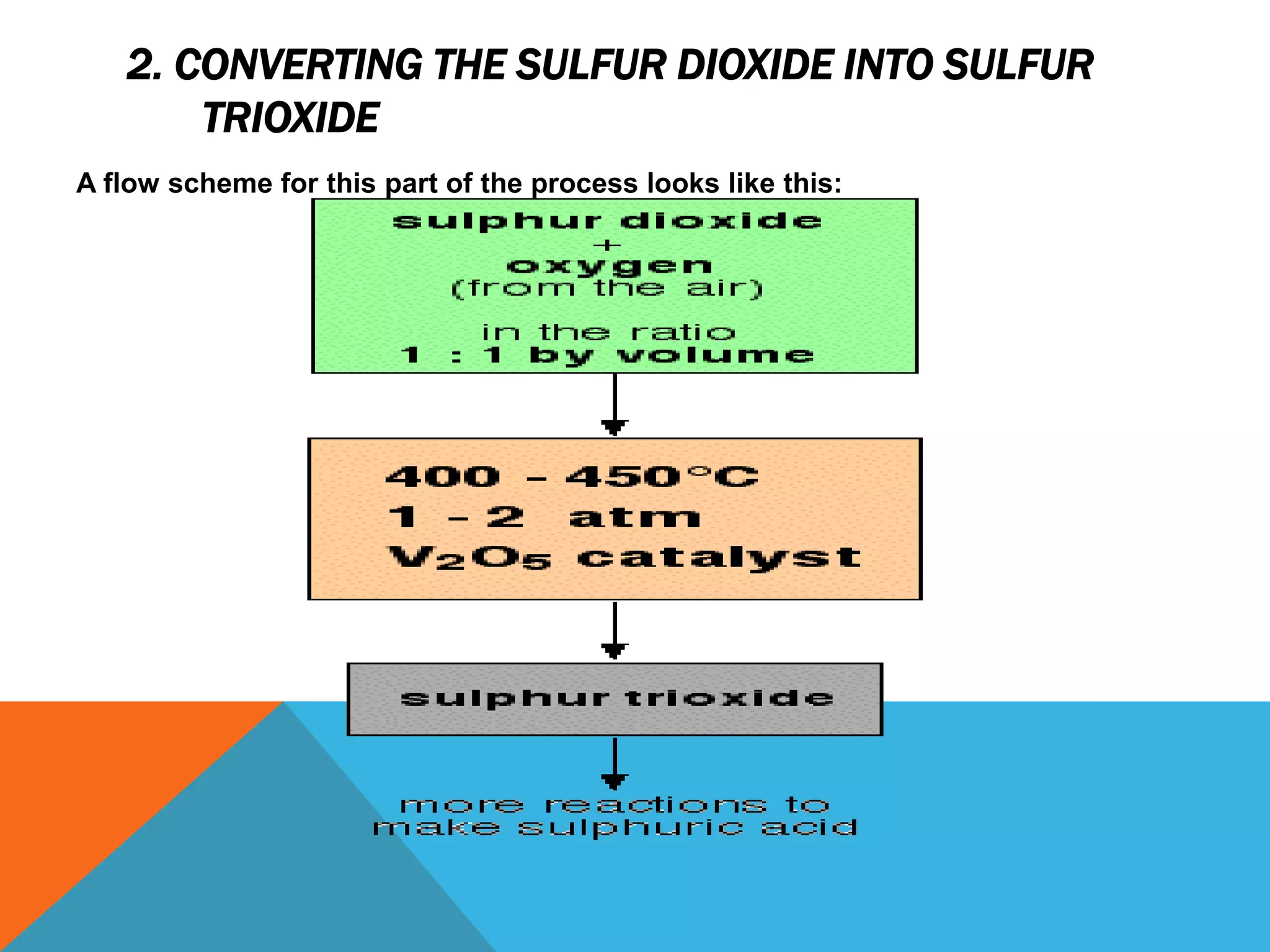 The Contact Process.ppt