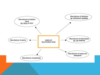 The Contact Process.ppt