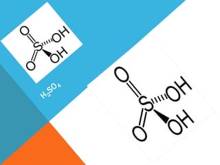 The Contact Process.ppt