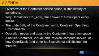 The container revolution, and what it means to operators bay lisa ...