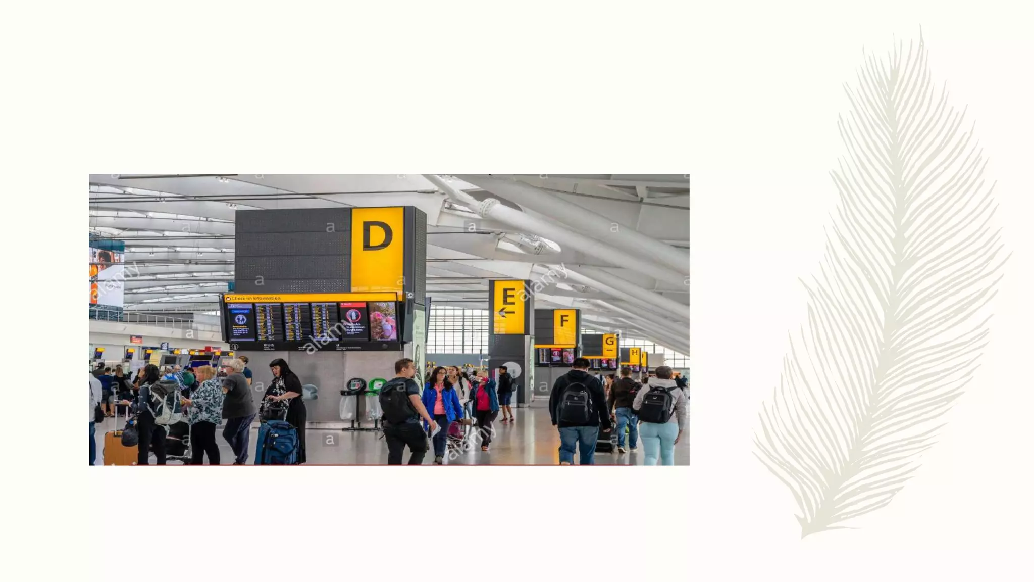 The Contemporary World - Topics 1-4 | PDF