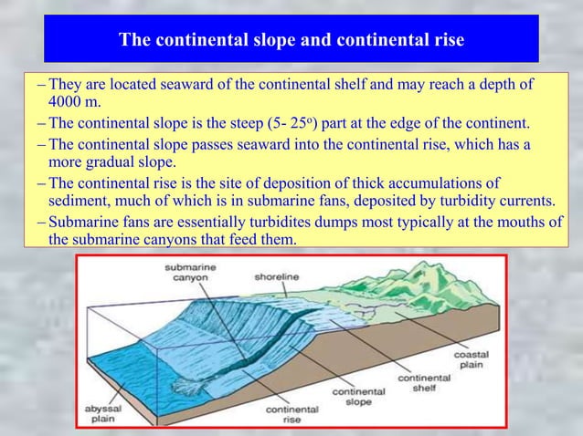 The continental slope and continental rise.ppt