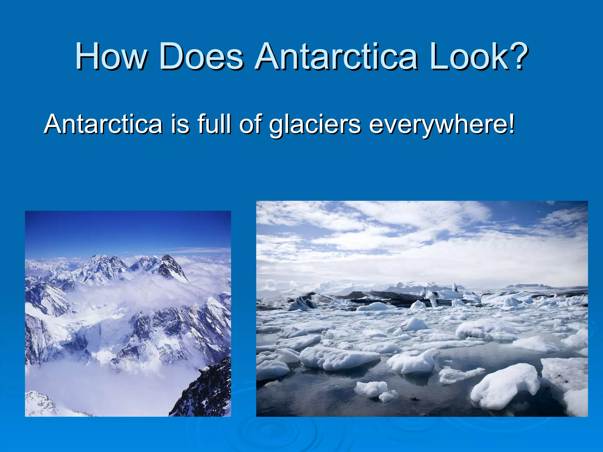 The continent antarctica | PPT