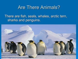 The continent antarctica | PPT