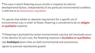 The Control of Flowering and Floral 111.pptx