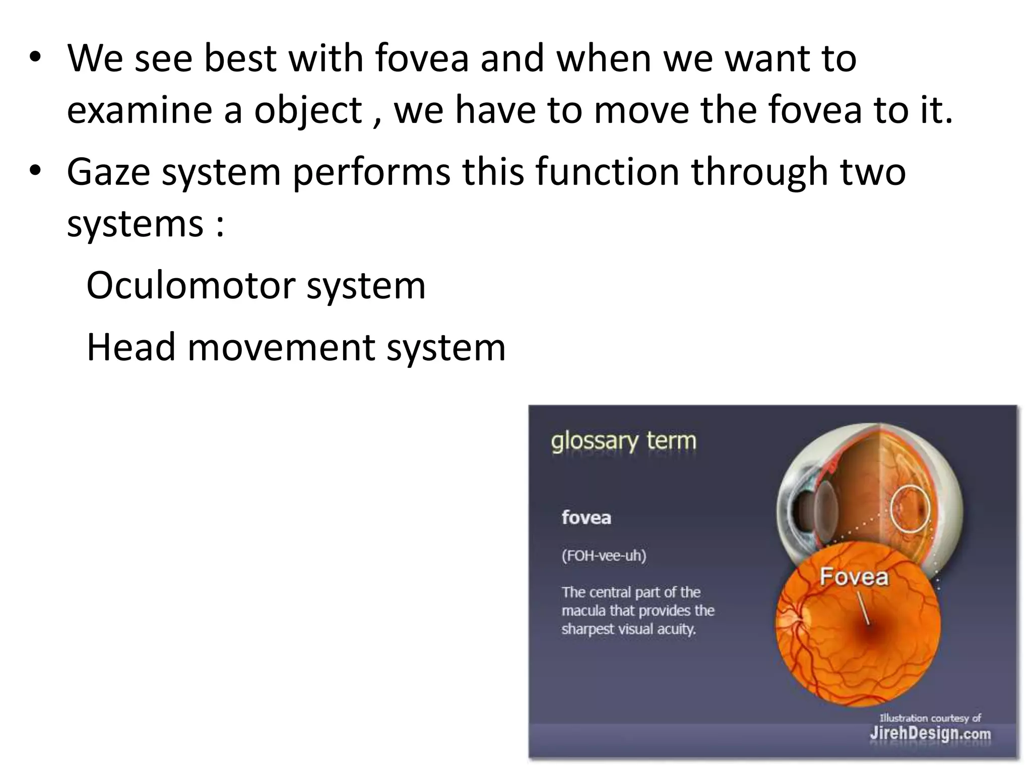 The control of gaze | PPTX