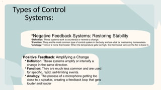 The control systems in the Human Body.pptx