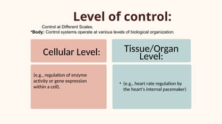 The control systems in the Human Body.pptx