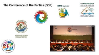 The+ConventiononBiologicalDiversity.pptx
