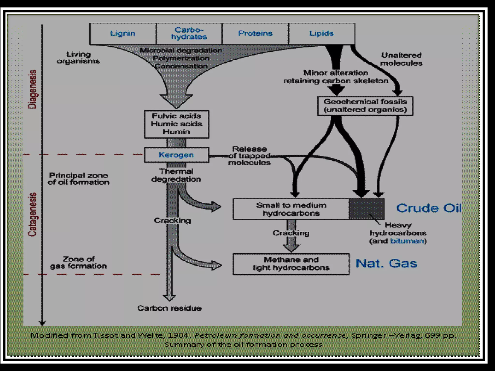 The conversion of organic matter to petroleum | PPTX