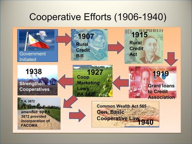 The Cooperative Movement in the Philippines | PPT | Law