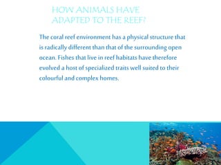The coral reef by amy wright | PPT