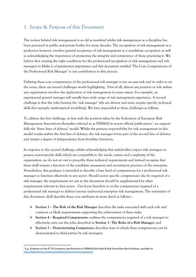 The Core Competencies of a Professional Risk Manager | PDF