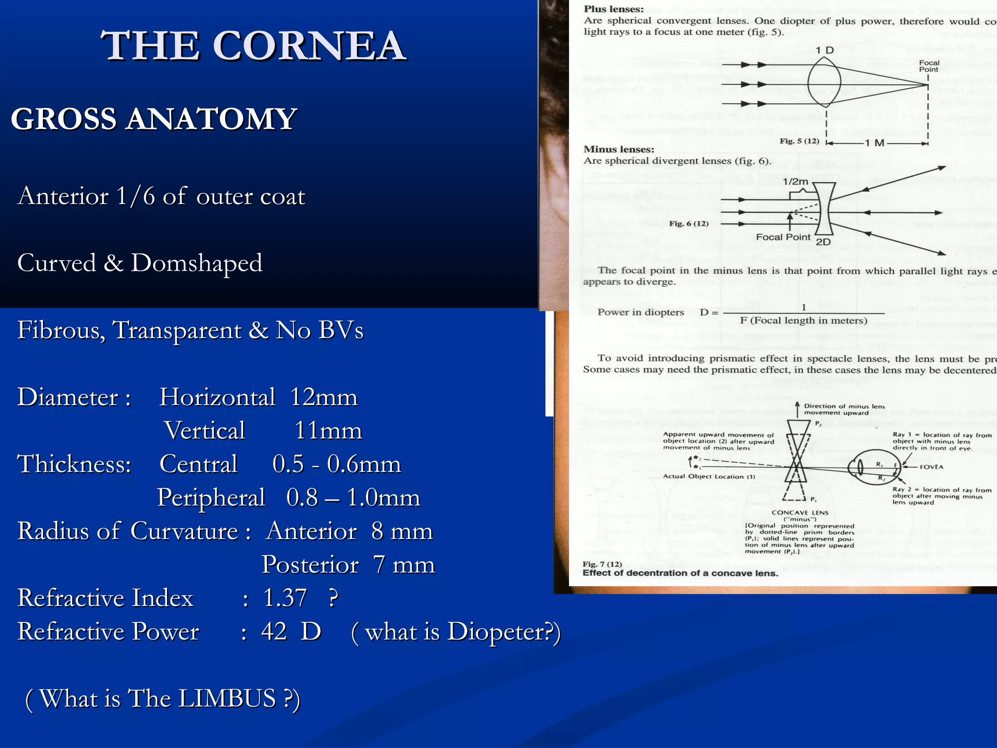 all about cornea | PPT