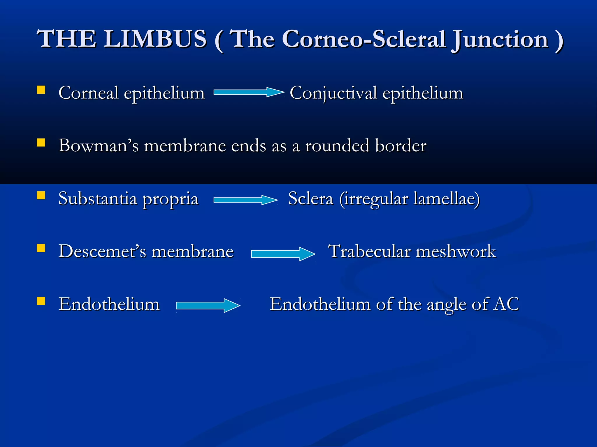 all about cornea | PPT