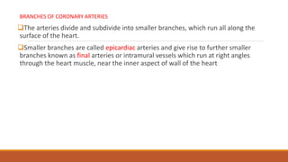 THE CORONARY CIRCULATION of the heart in the body | PPTX