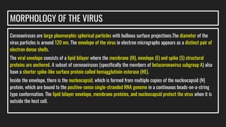 THE CORONAVIRUS STORY: COVID - 19 PANDEMIC OUTBREAK SERIES I Episode 2 ...