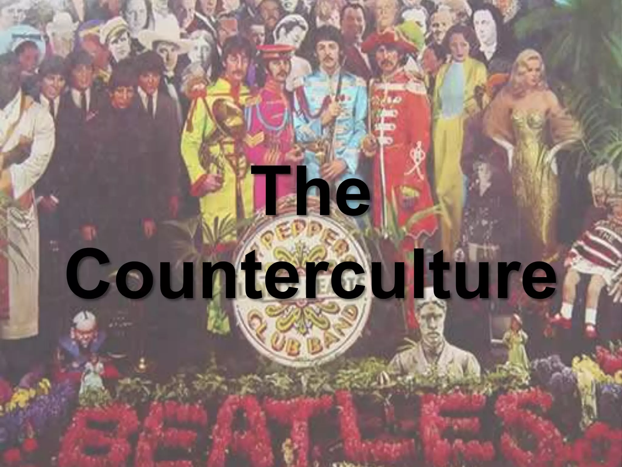 The counterculture | PPTX